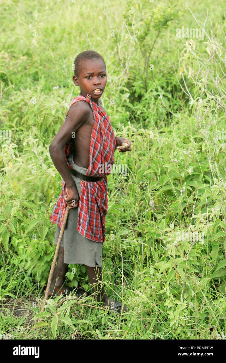 A young Maasai herd boy standing in long grass and leaning on a stick ...