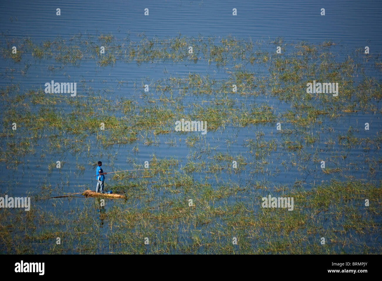 Fisherman on a traditional papyrus raft on Lake Awassa Stock Photo - Alamy