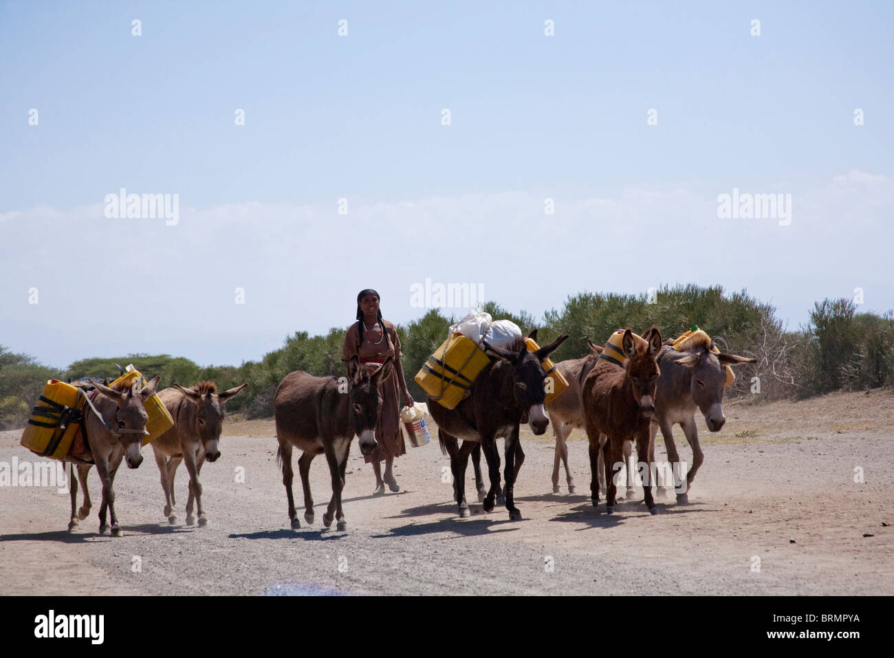 Fetch water hi-res stock photography and images - Alamy