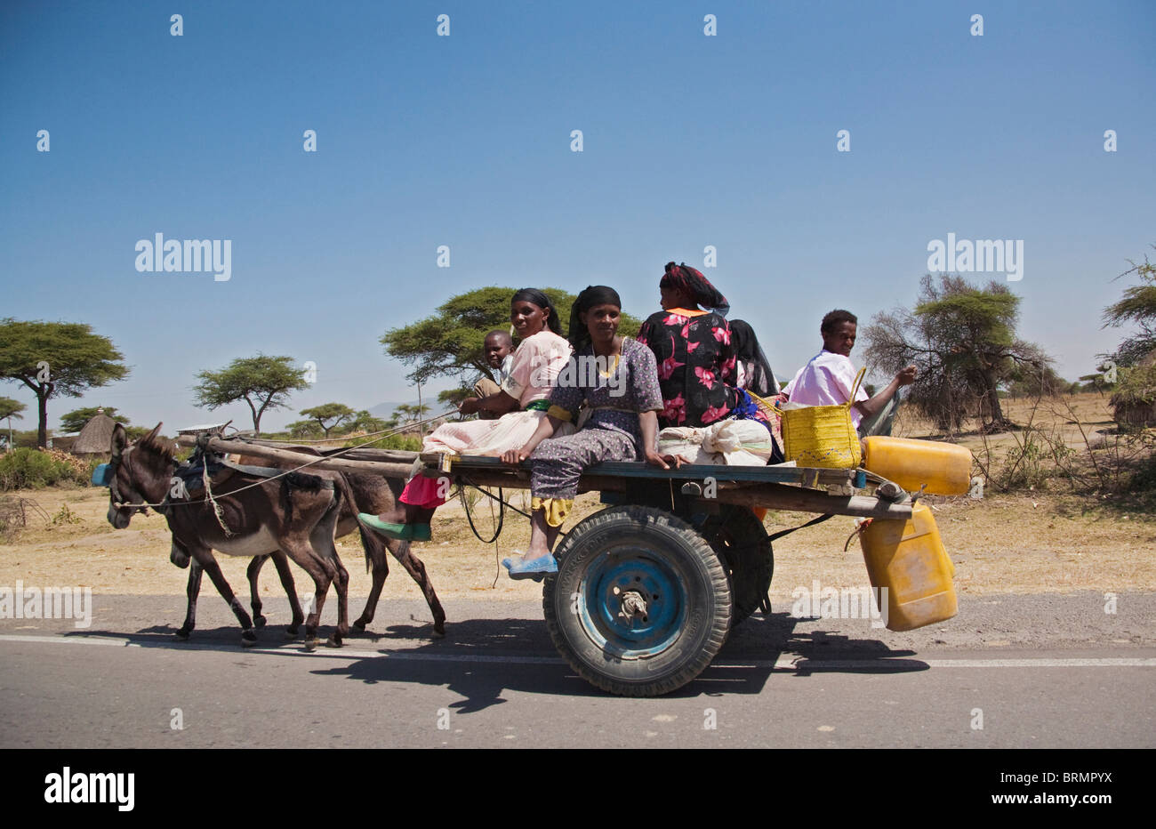 Donkey Cart Transport High Resolution Stock Photography and Images - Alamy