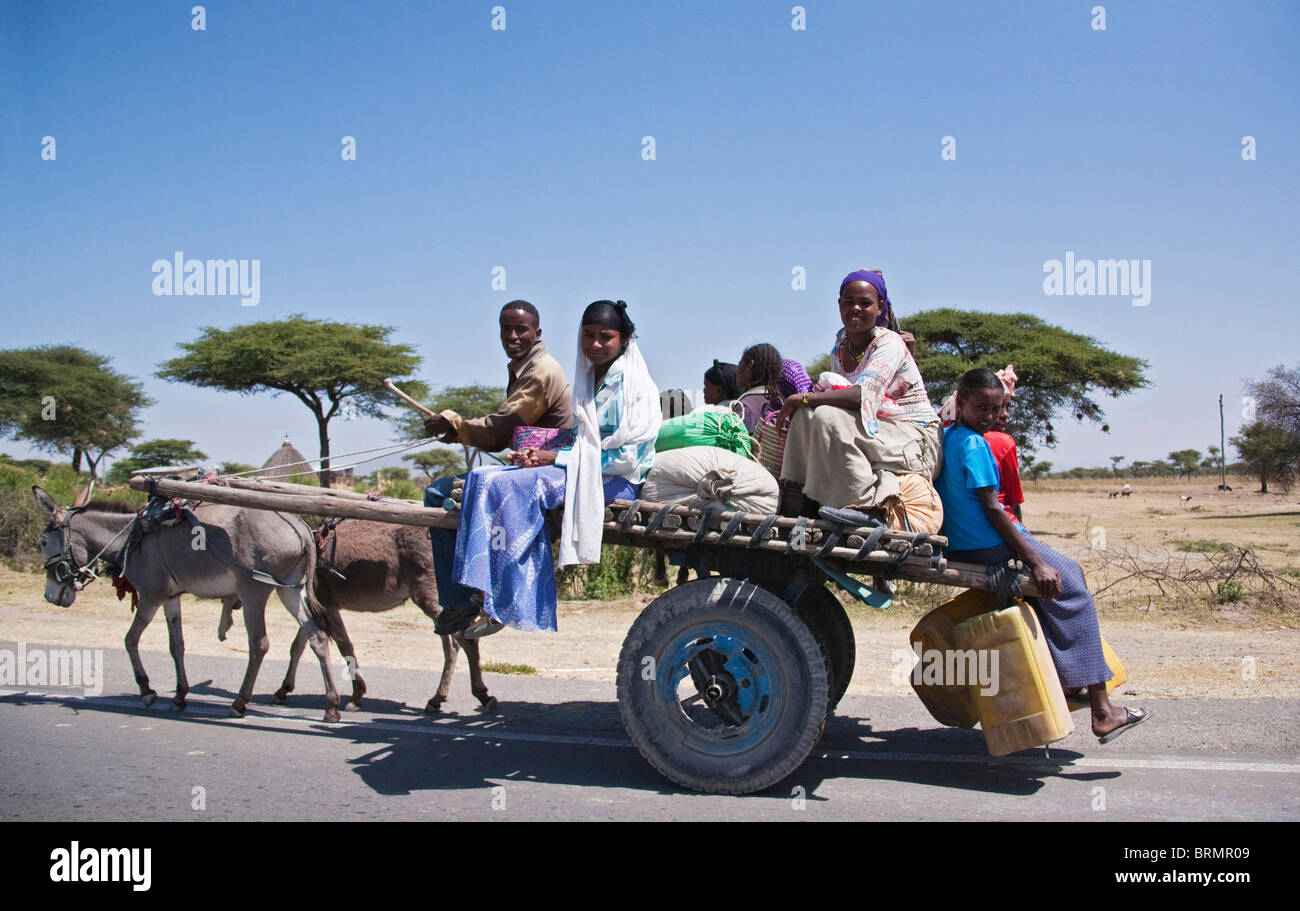 Riding On A Donkey Cart High Resolution Stock Photography and Images ...