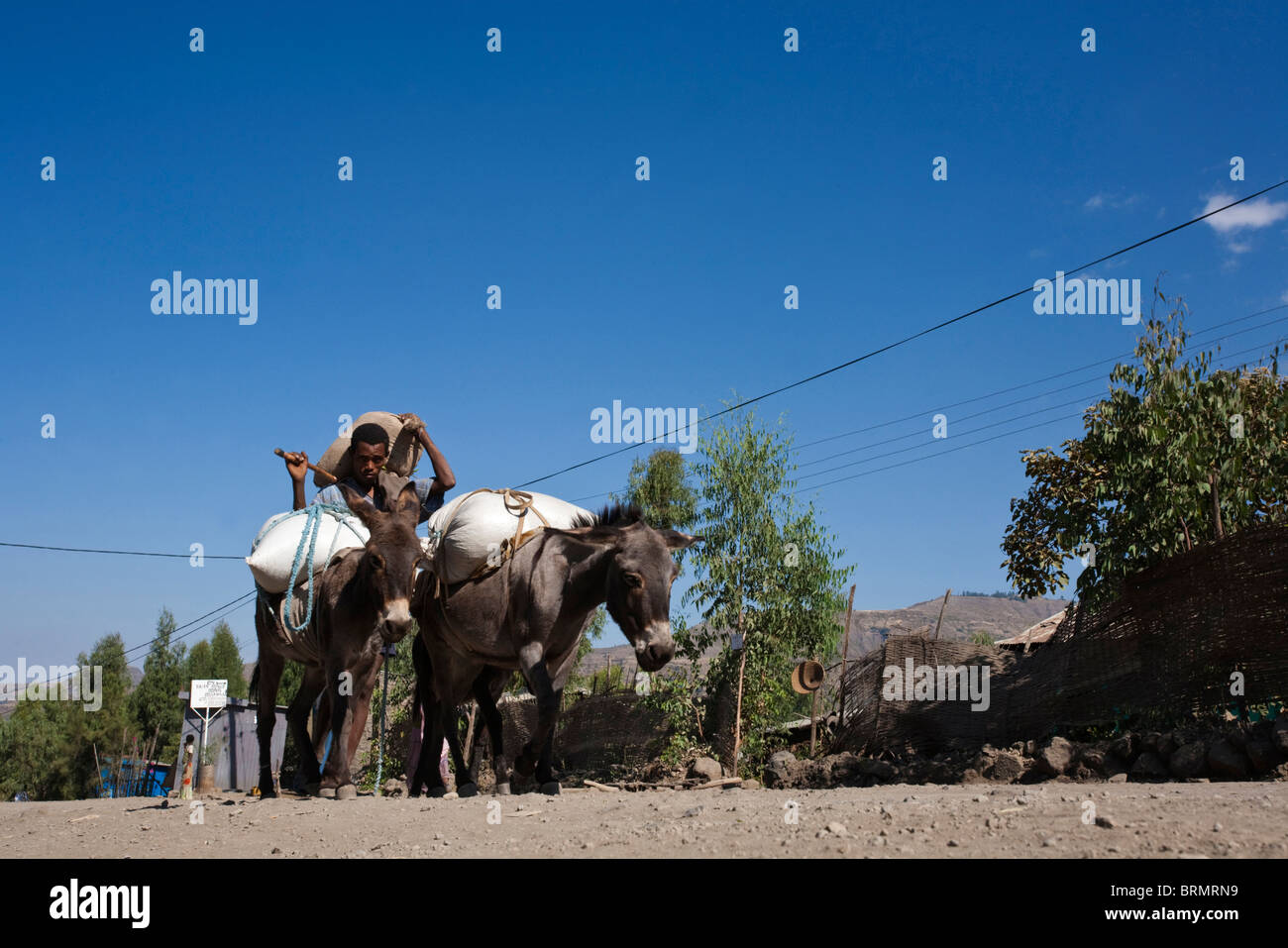 Donkey carrying goods hi-res stock photography and images - Alamy
