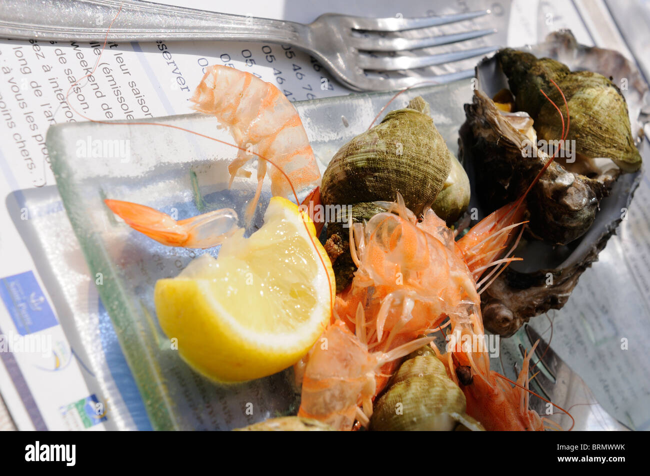 Bulot hi-res stock photography and images - Alamy