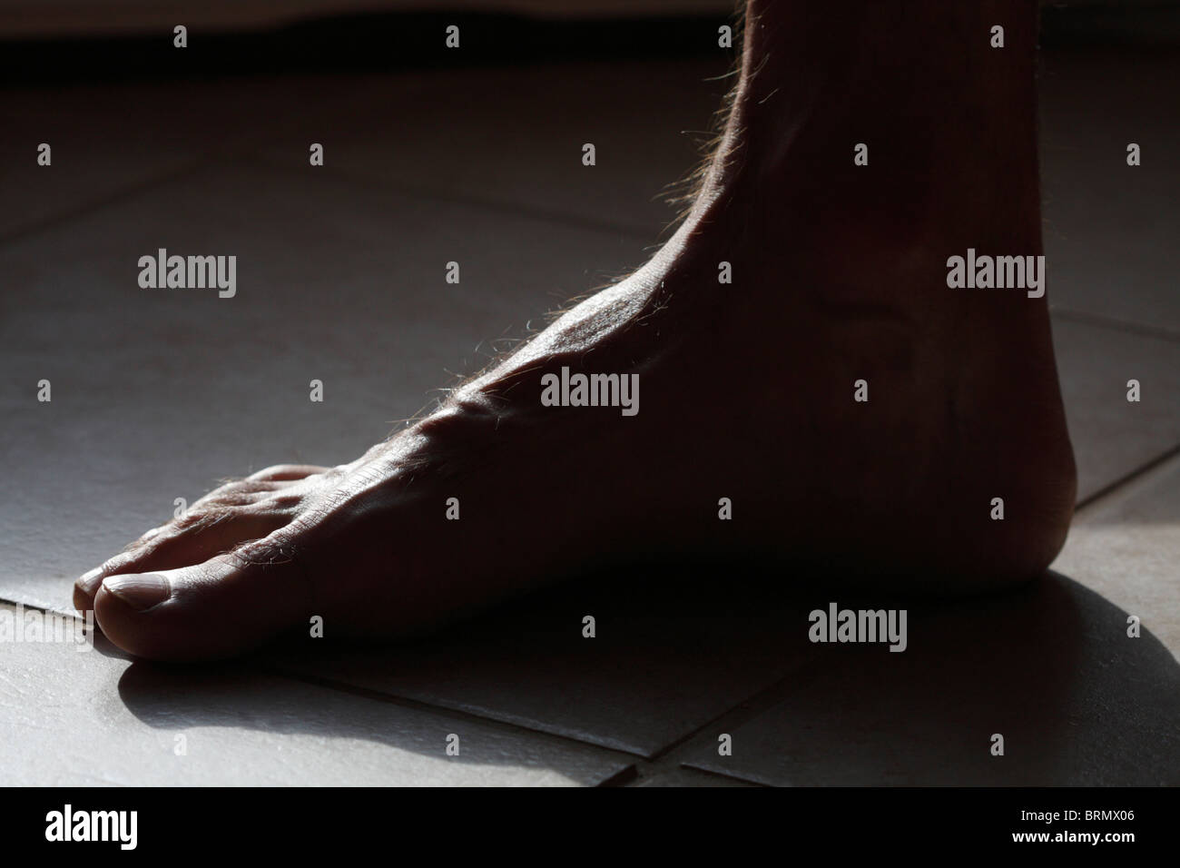 Back right foot hi-res stock photography and images - Alamy