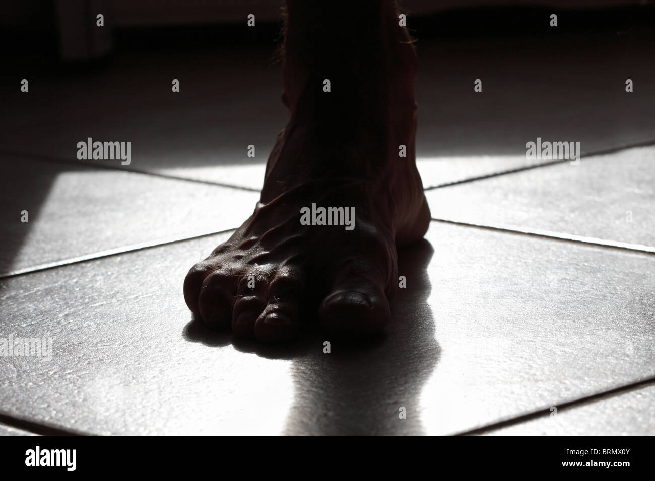 Back right foot hi-res stock photography and images - Alamy