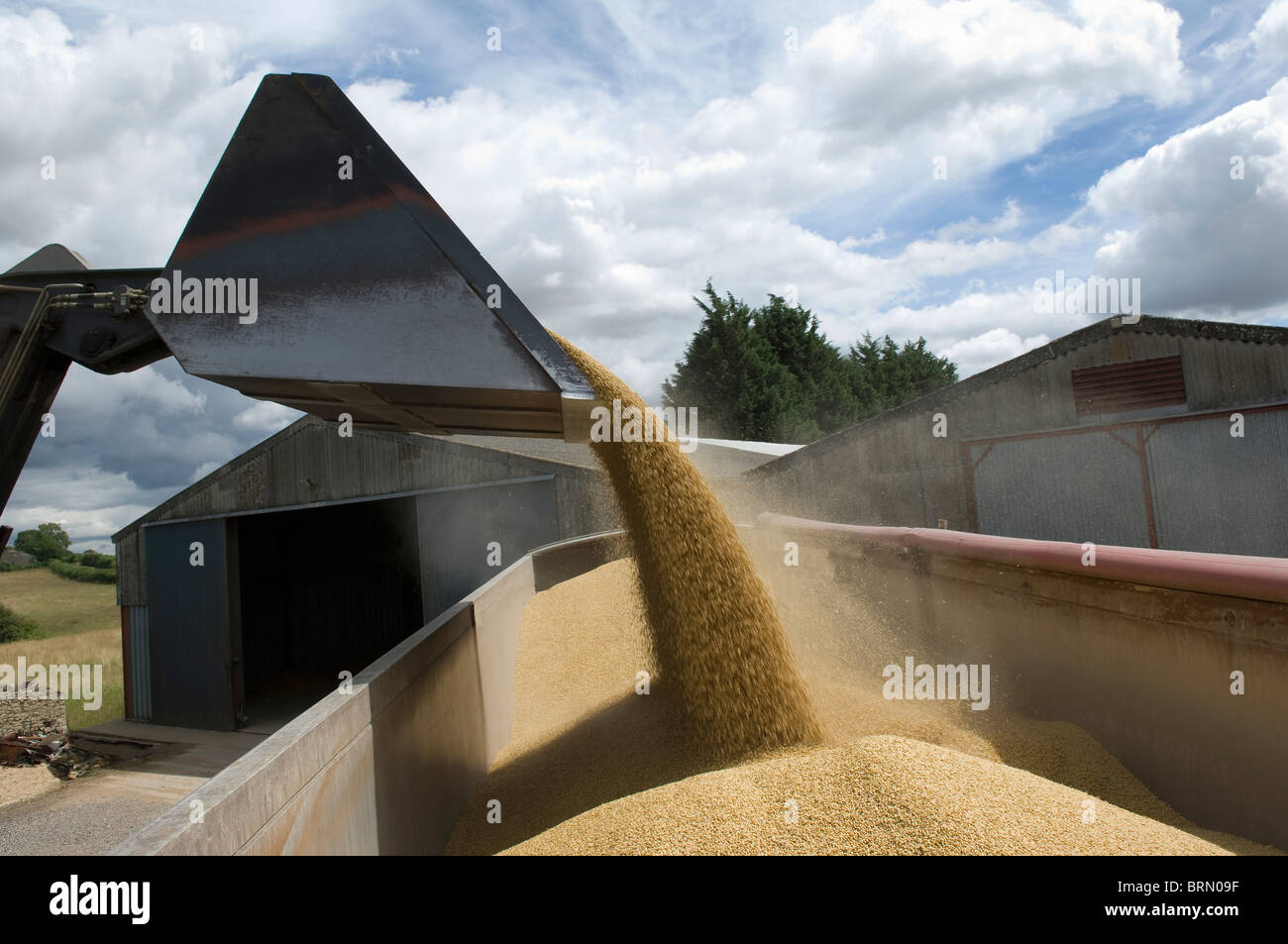 Grain loading hi-res stock photography and images - Alamy
