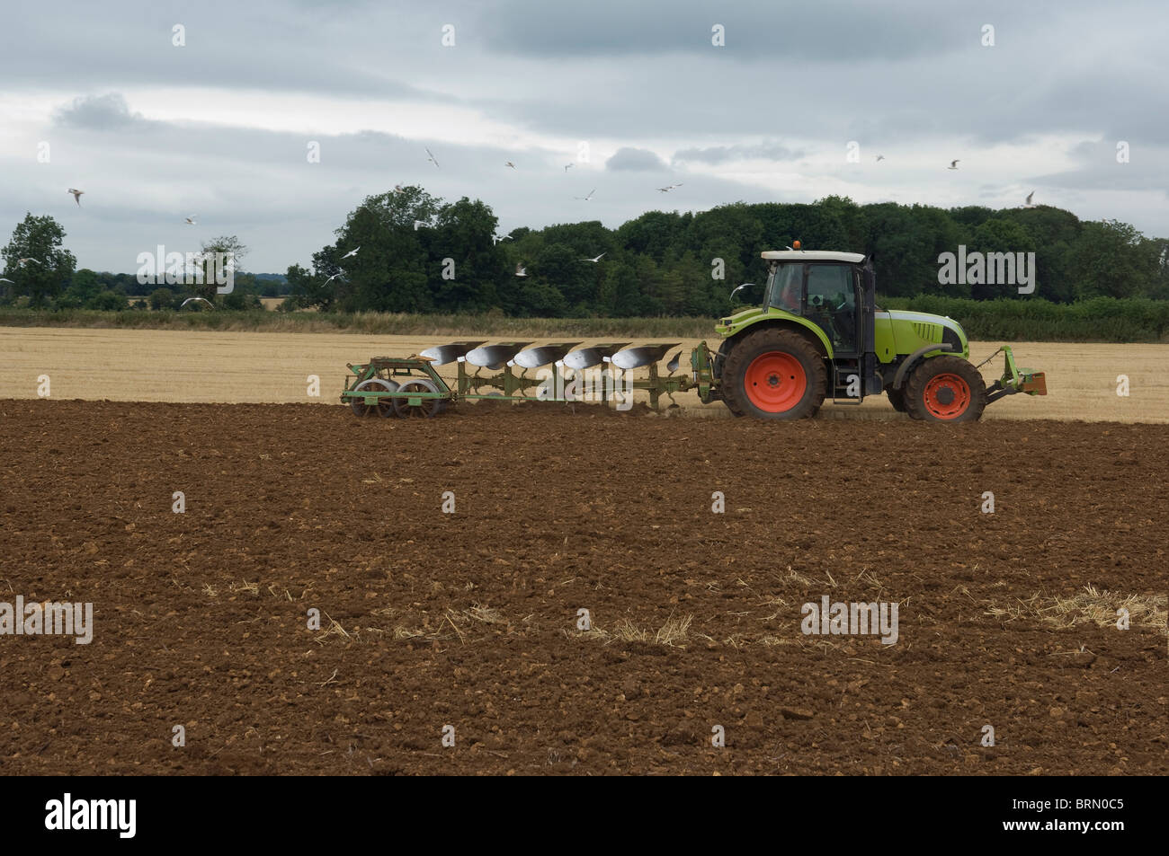 Preparing for ploughing preparing for ploughing hi-res stock ...