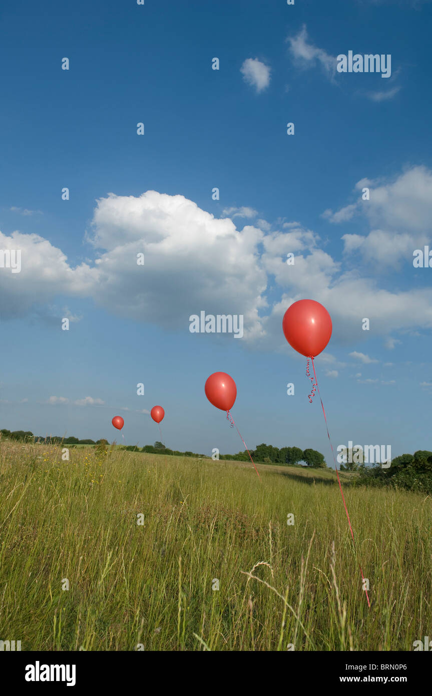 Red balloons in field Stock Photo - Alamy