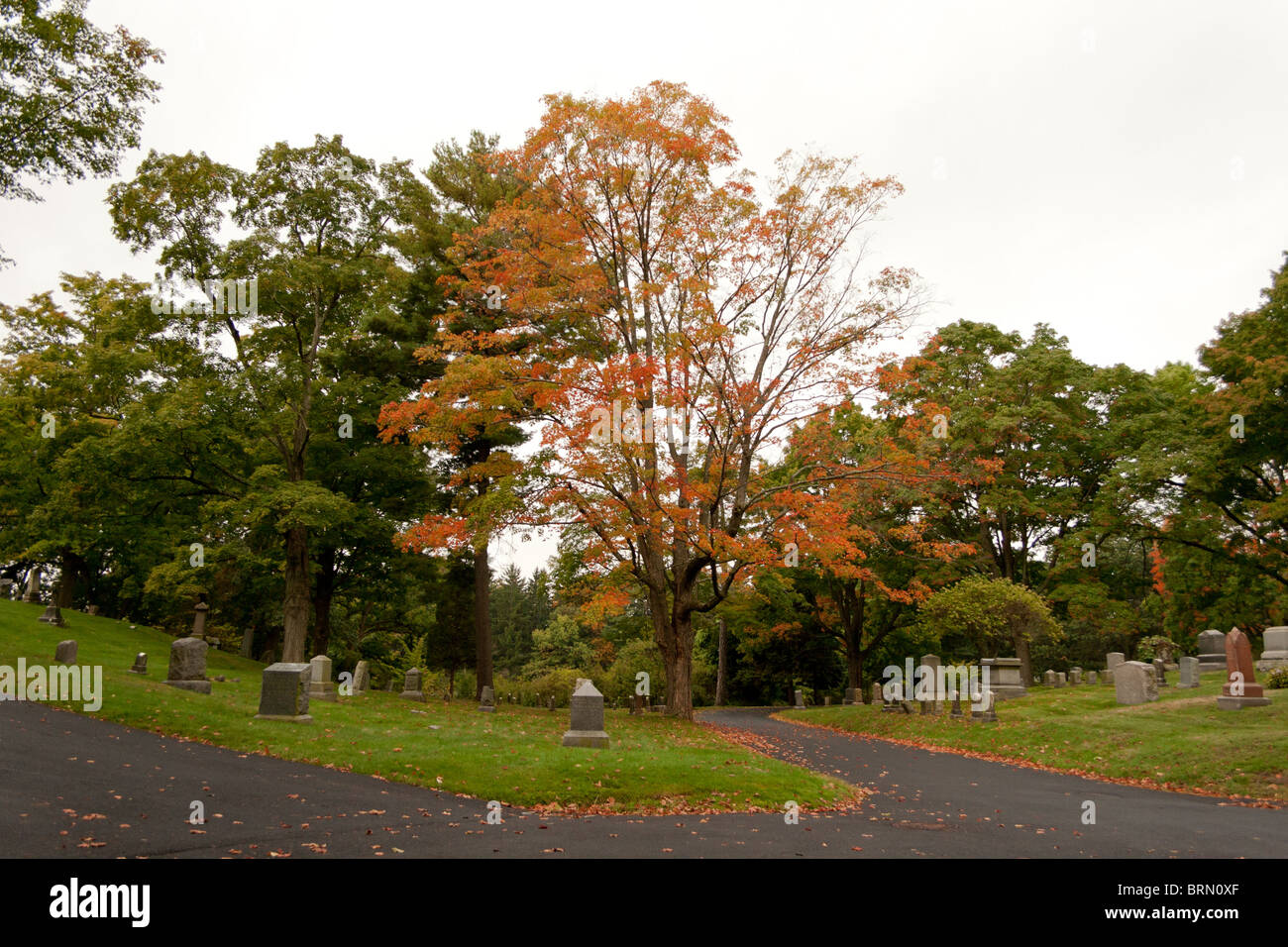 Waltham cemetery hi-res stock photography and images - Alamy