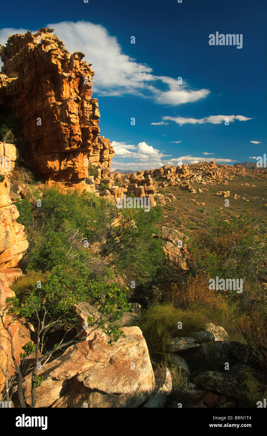 View of Cedarberg wilderness area Stock Photo - Alamy