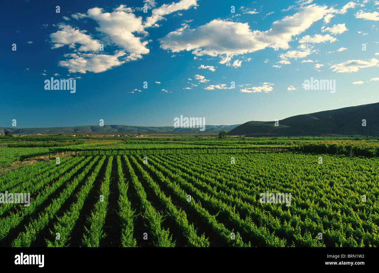 Farm discipline hi-res stock photography and images - Alamy