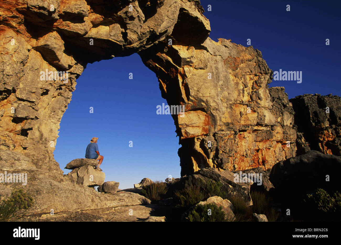 Sits under hi-res stock photography and images - Alamy