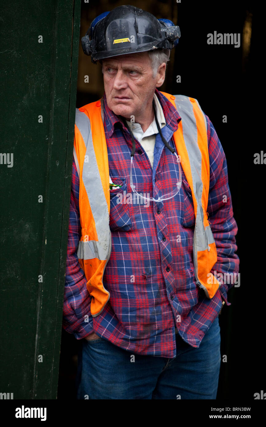 Portrait of a senior construction worker standing up Stock Photo - Alamy