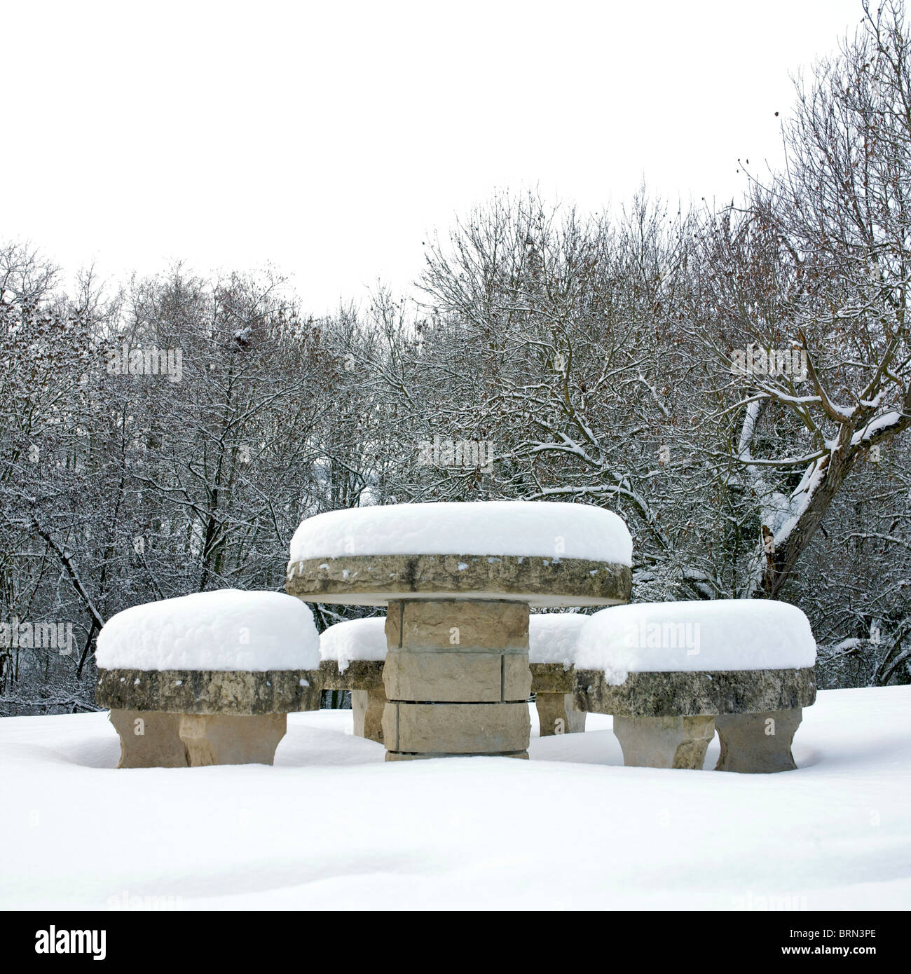 Trees covered snow benches hi-res stock photography and images - Alamy