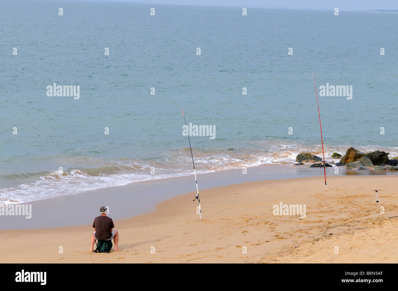 Fish stuck in the sand hi-res stock photography and images - Alamy
