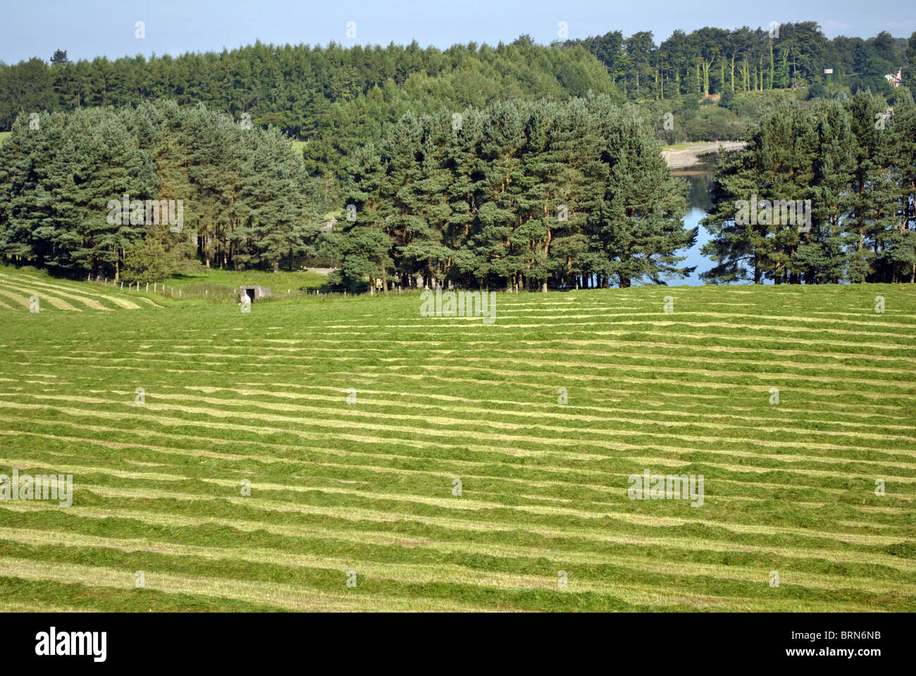 Grass hay landscape hi-res stock photography and images - Alamy