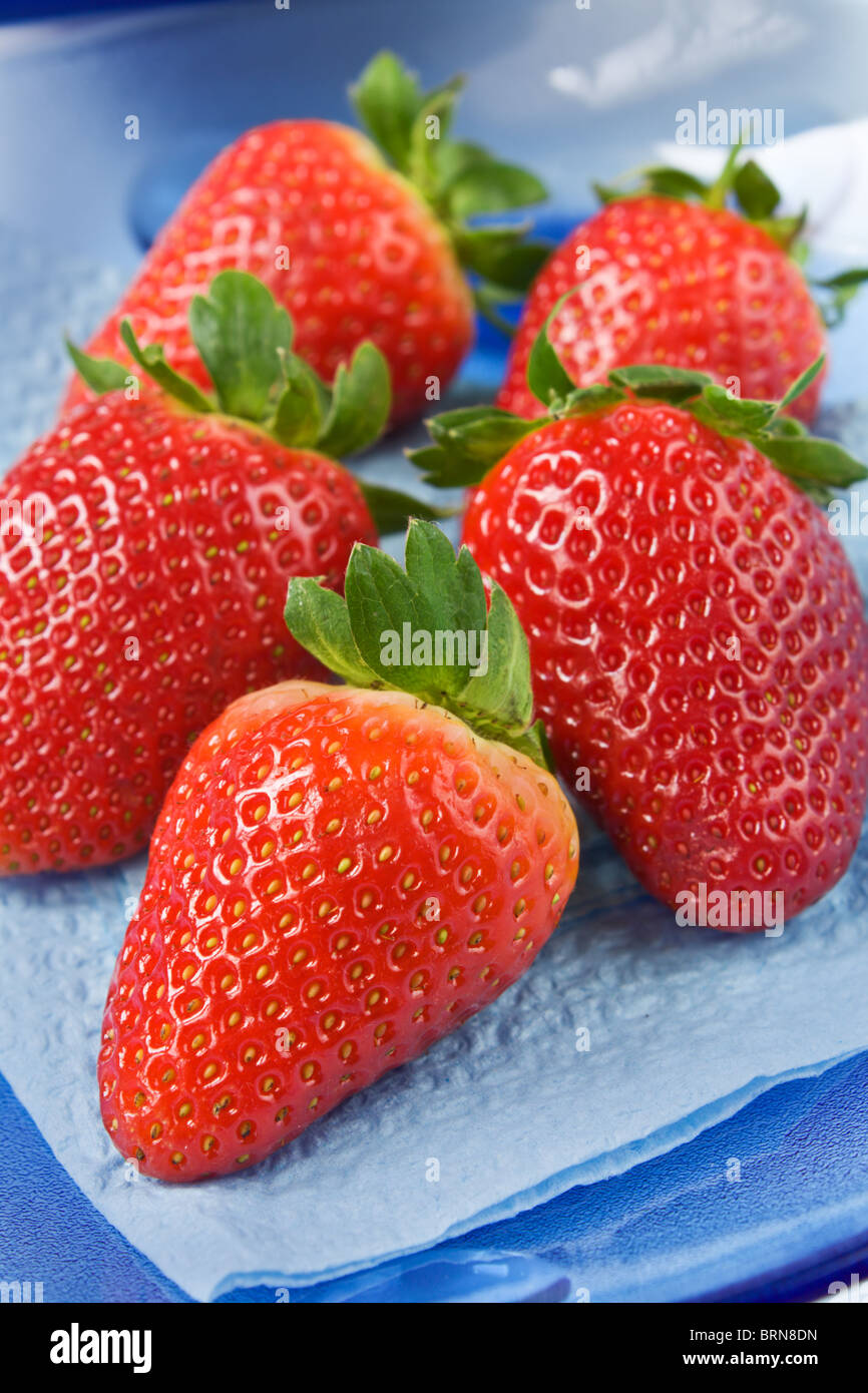 Five beautiful ripe strawberries on a blue plate Stock Photo - Alamy