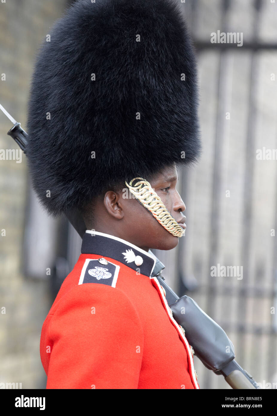 Guard busby bearskin soldier hi-res stock photography and images - Alamy
