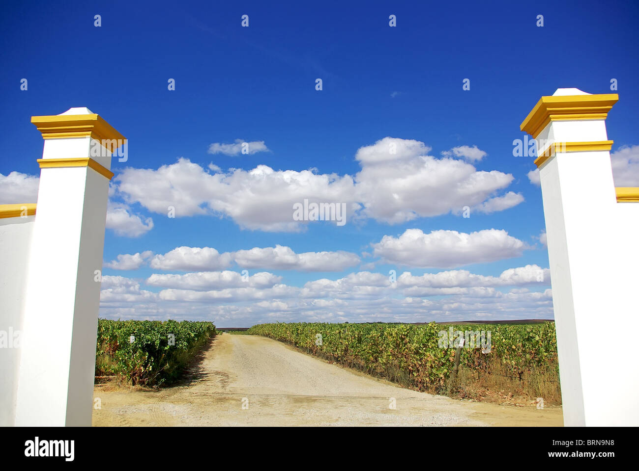 Entrance of vineyard Stock Photo - Alamy