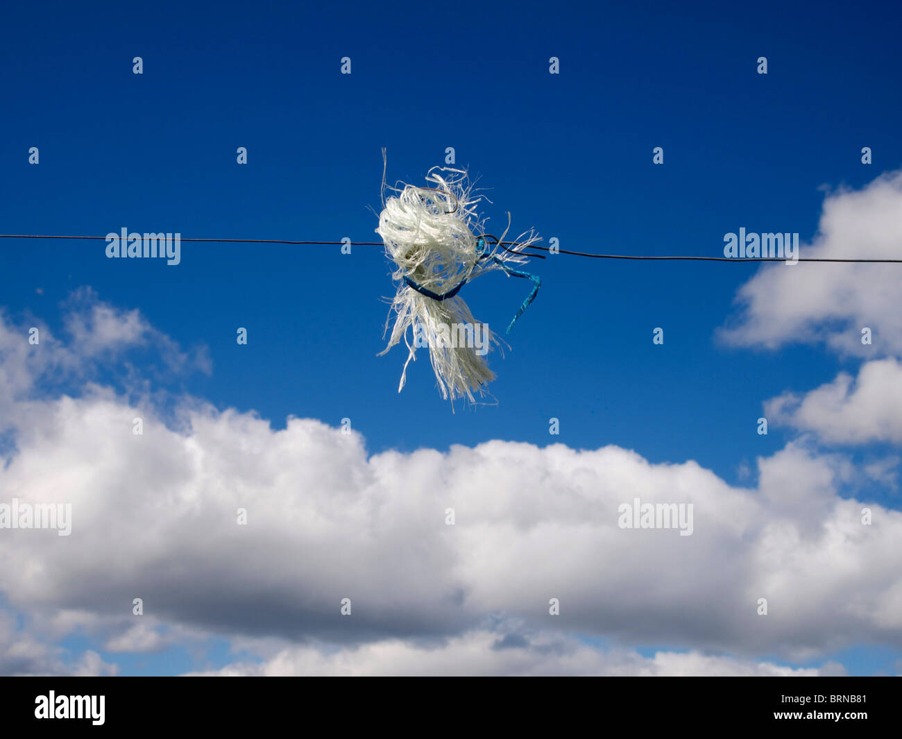 Simple light strands hi-res stock photography and images - Alamy