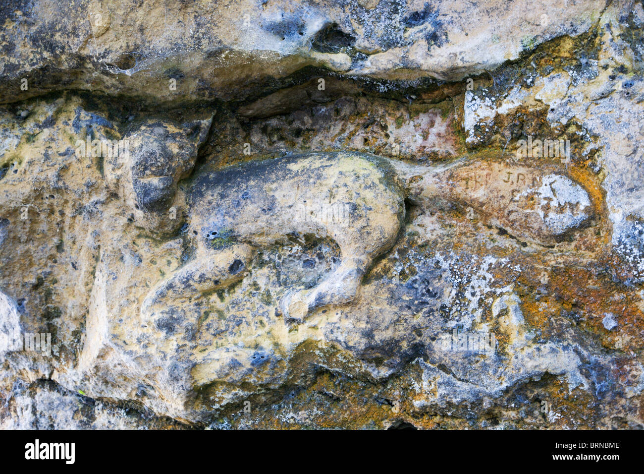 Magnesian limestone hi-res stock photography and images - Alamy