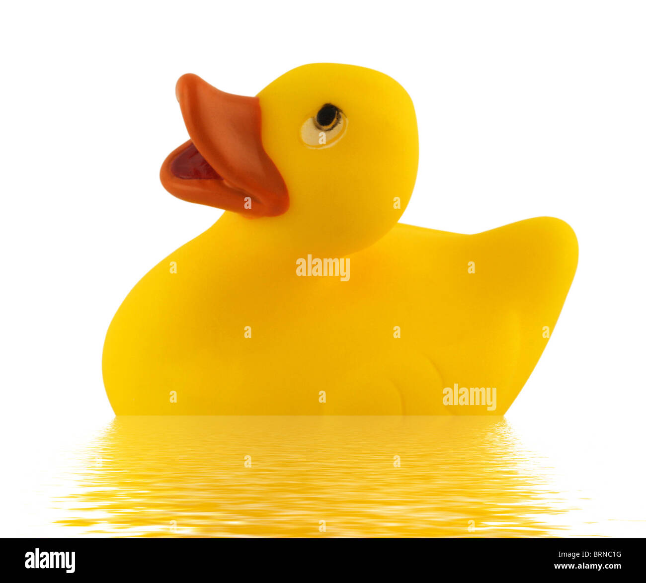 Toy duck floating Stock Photo - Alamy