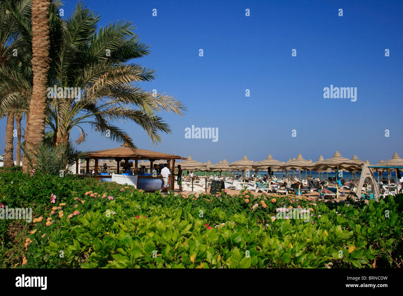 The beach and beach bar by the Baron Palms Resort, Sharm el sheikh ...
