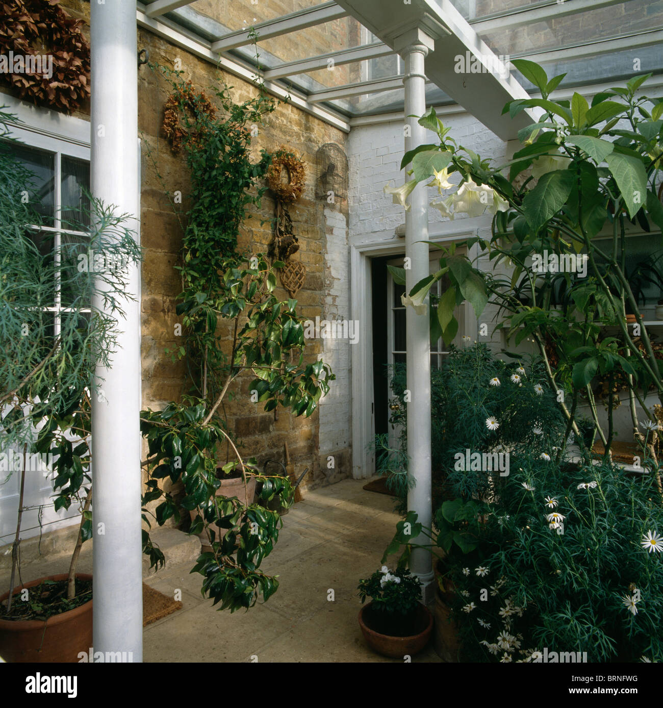 Tall green houseplants in atrium-style conservatory hall white white ...
