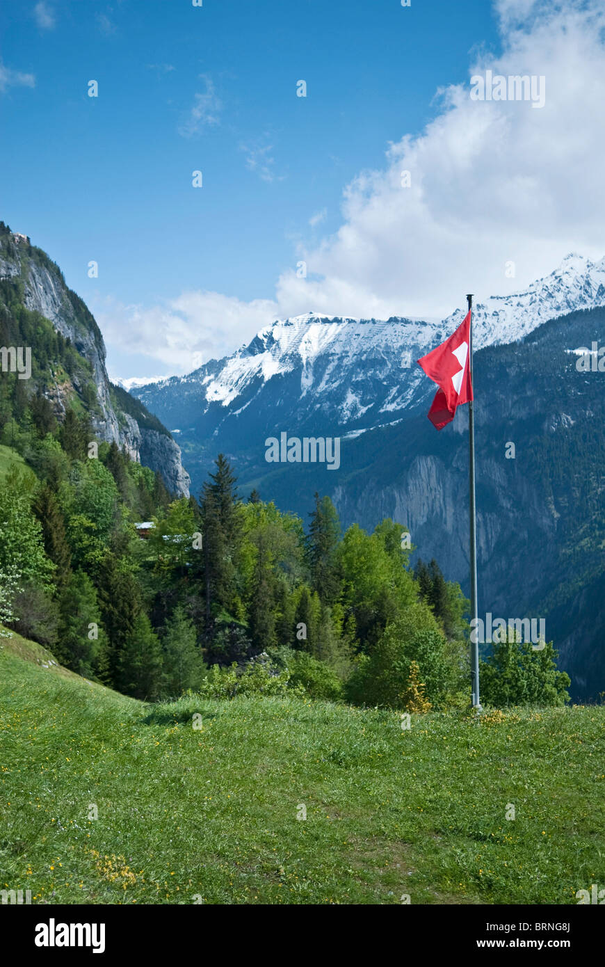 Swiss flag with the Alps in the distance Stock Photo - Alamy