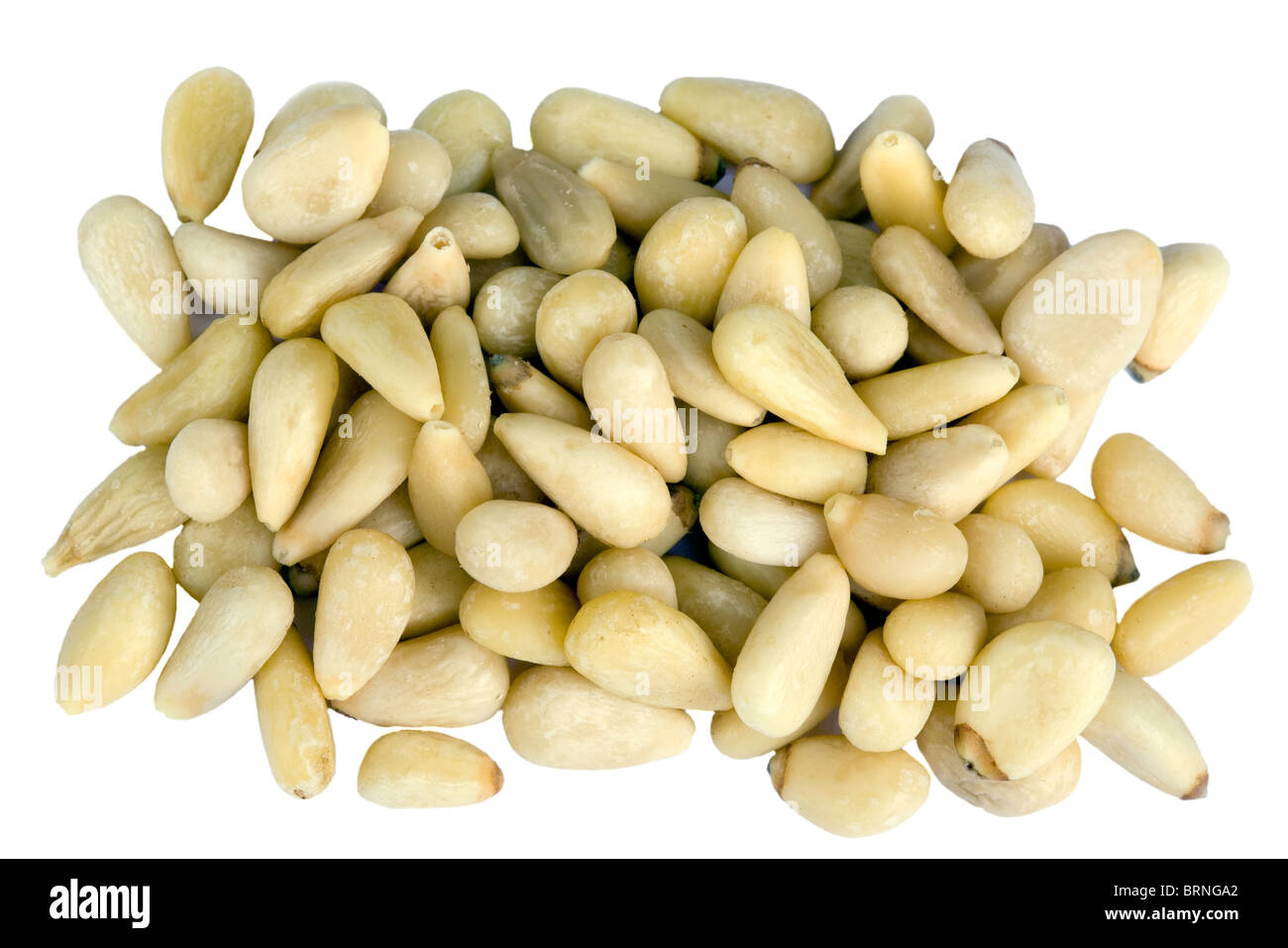 Pinenut High Resolution Stock Photography and Images - Alamy