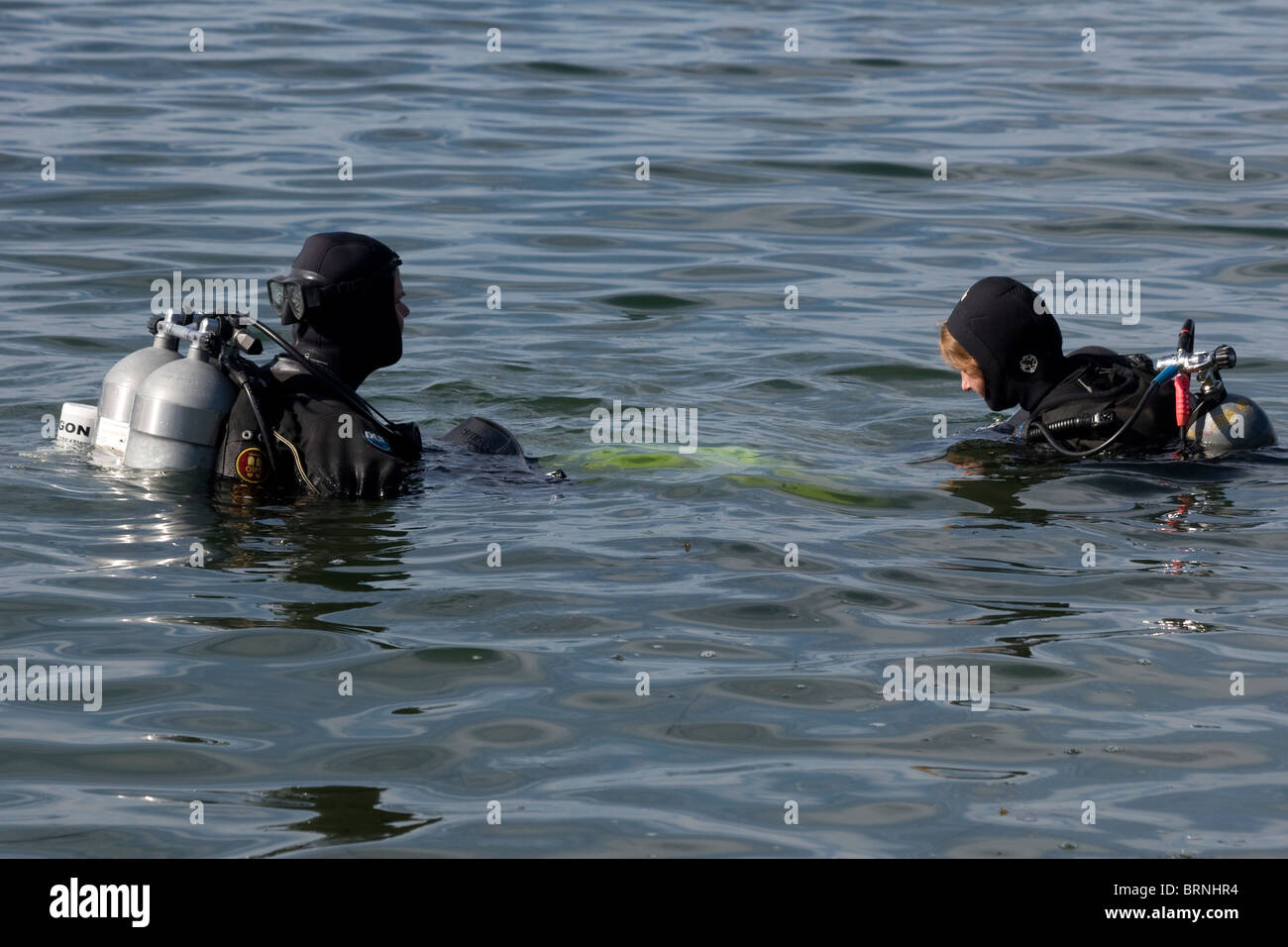 Trainee Scuba Divers at Edmonds Washington WA USA Stock Photo - Alamy