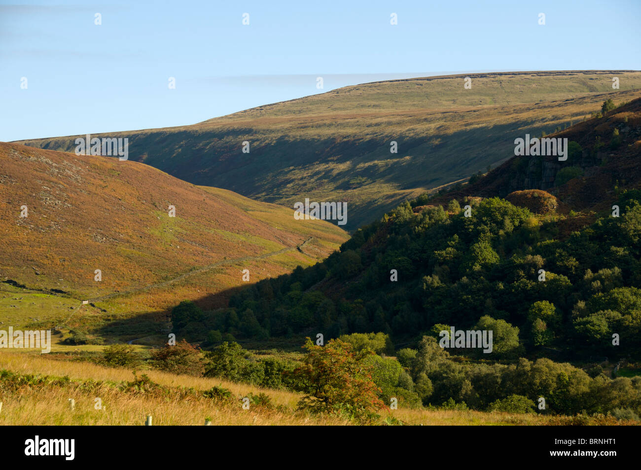 Westend Moss and the valley of Crowden Little Brook, Crowden in ...
