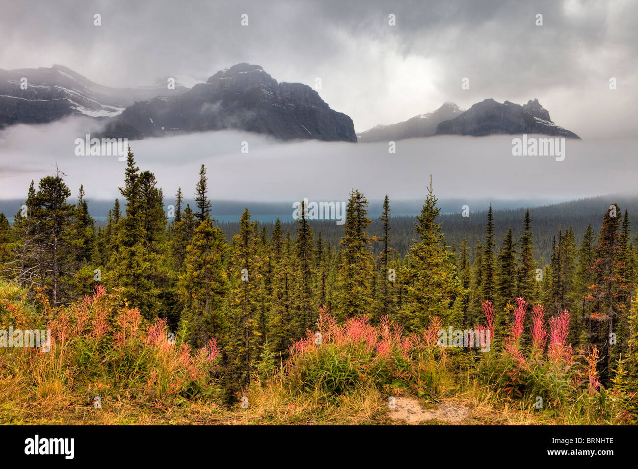Cloudy Morning in Bow Valley, Banff National Park, Alta, Canada Stock ...