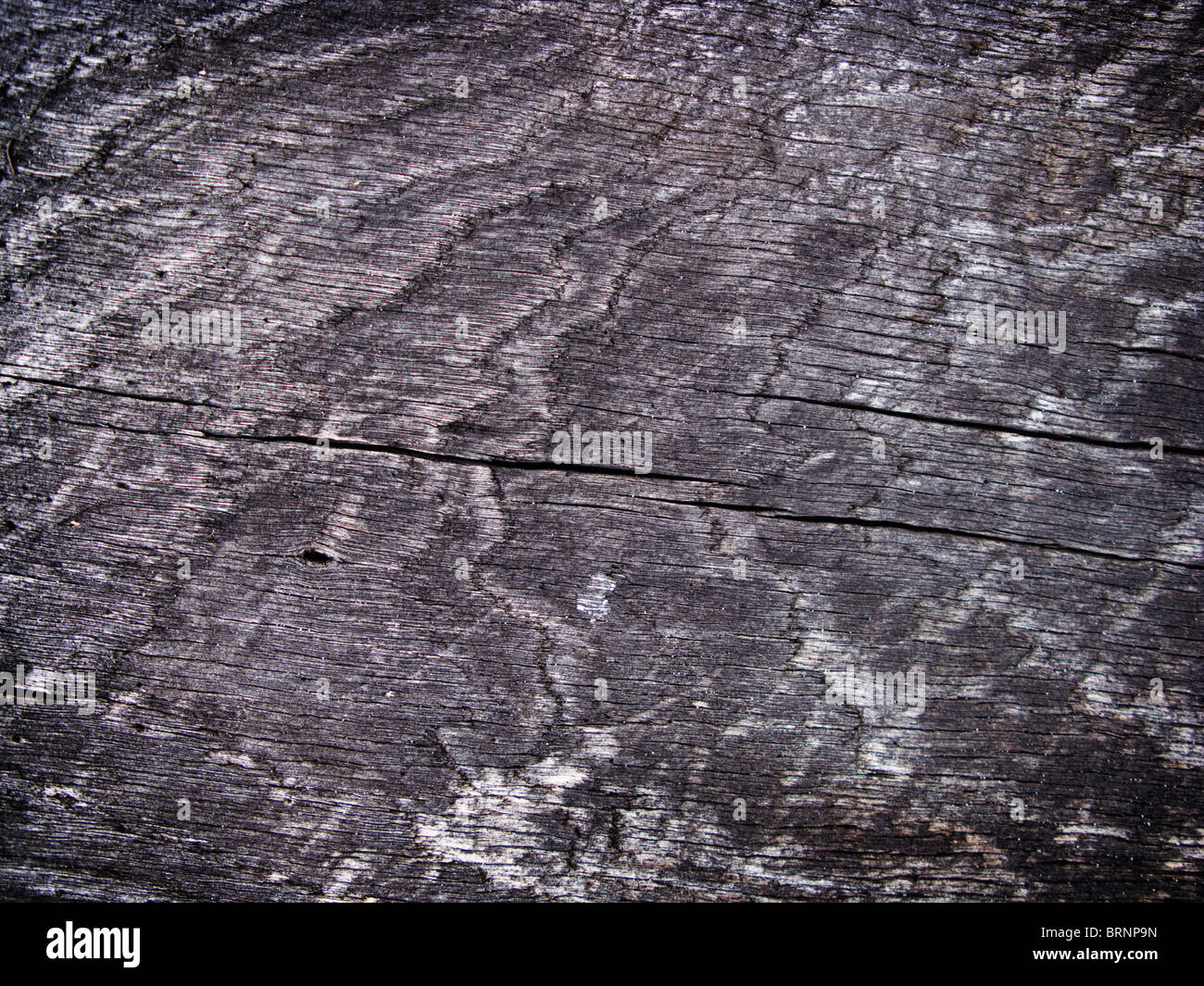 wood texture back ground for wallpaper ideas Stock Photo - Alamy