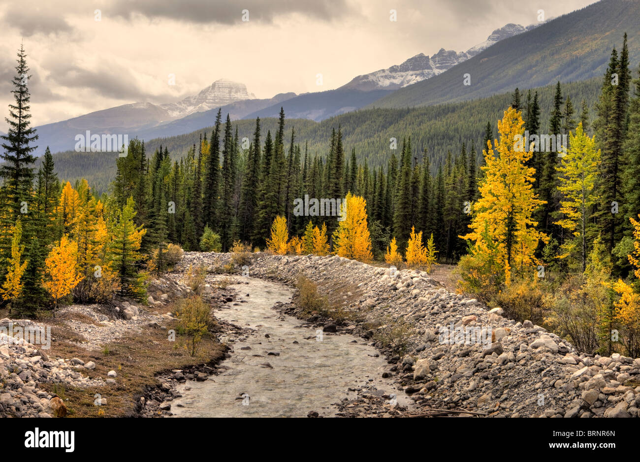 Mountain Creek, Northern Banff National Park, Alta, Canada Stock Photo ...