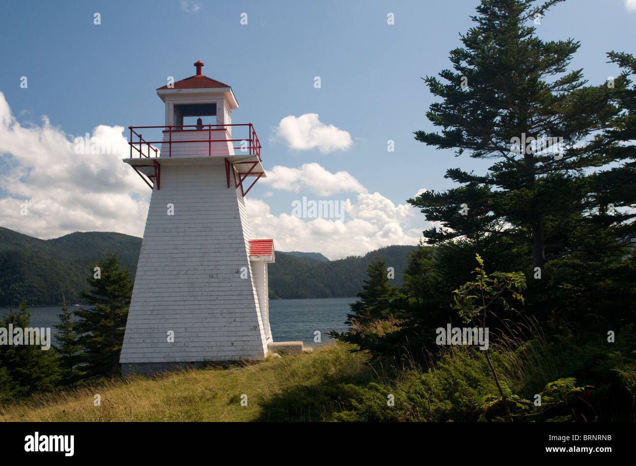 Woody point hi-res stock photography and images - Alamy