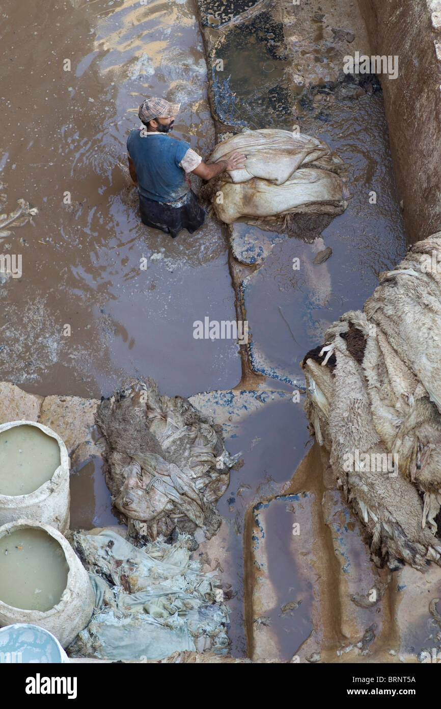 Moroccan leather dye worker hi-res stock photography and images - Alamy
