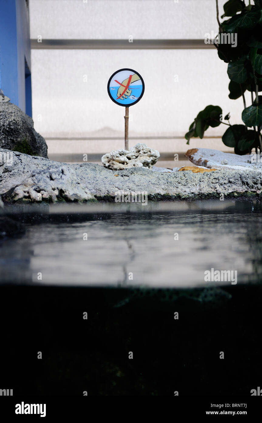 Pirahna hi-res stock photography and images - Alamy