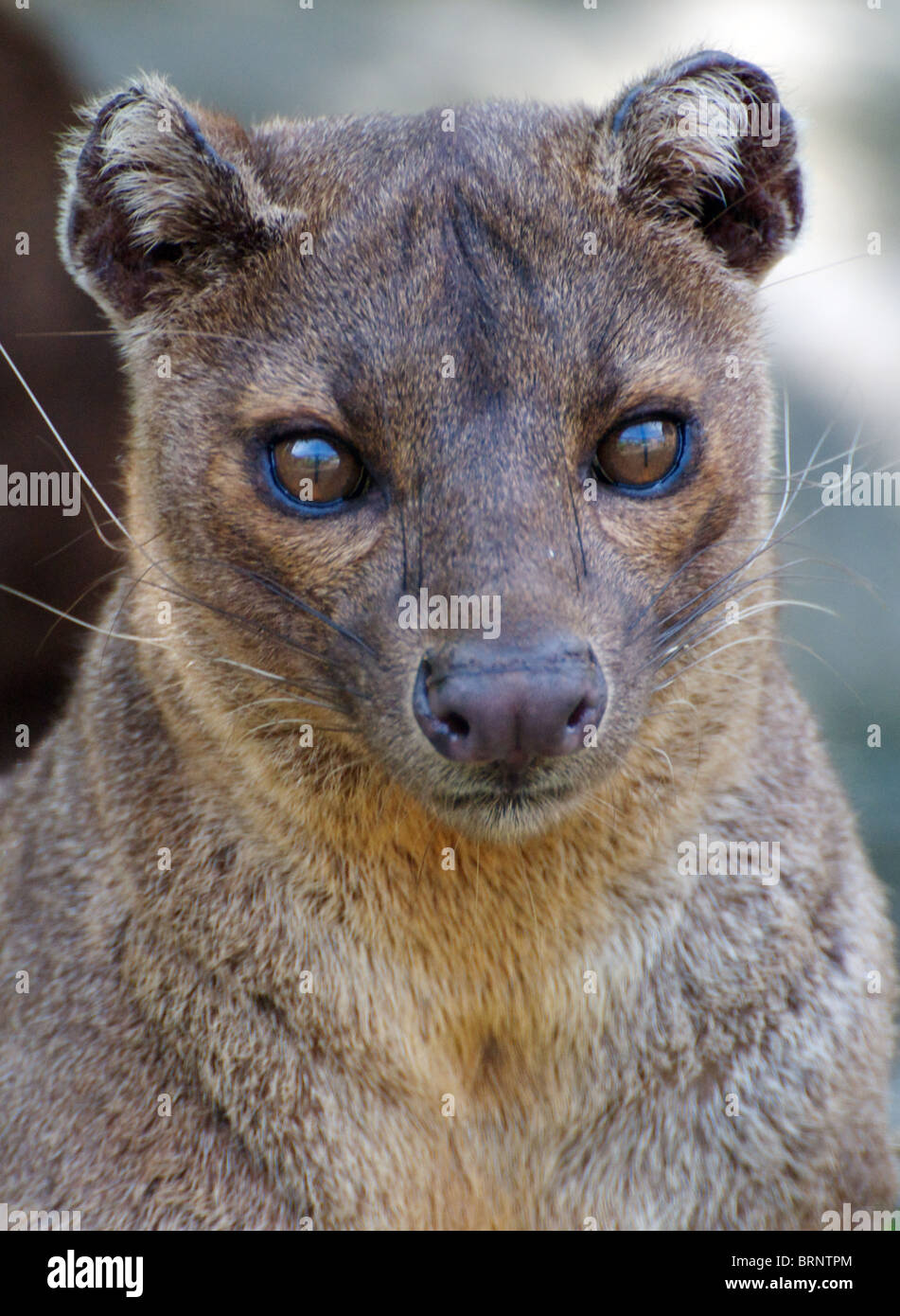 Camera headshot hi-res stock photography and images - Alamy