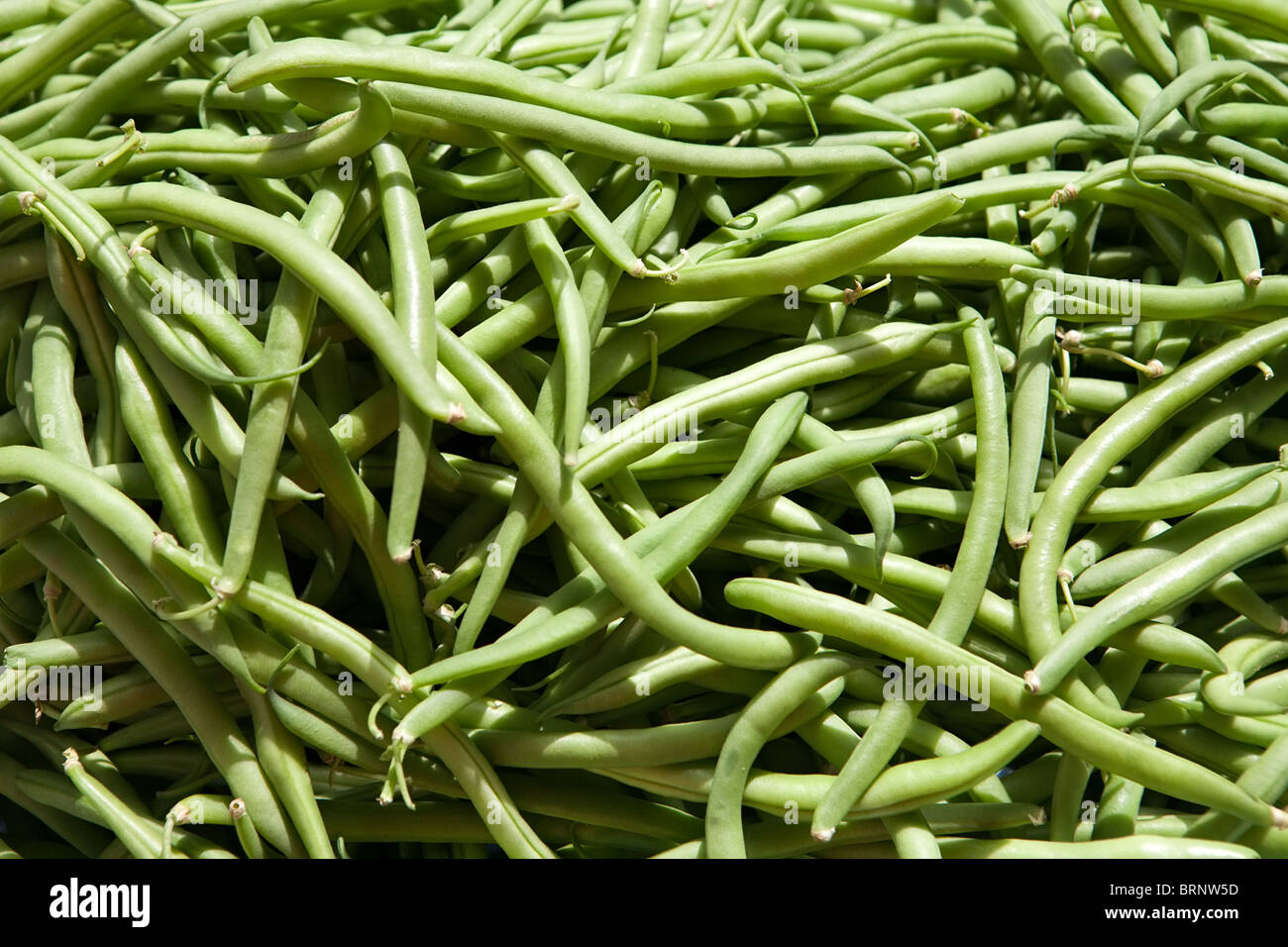 green haricots on the market closeup Stock Photo - Alamy