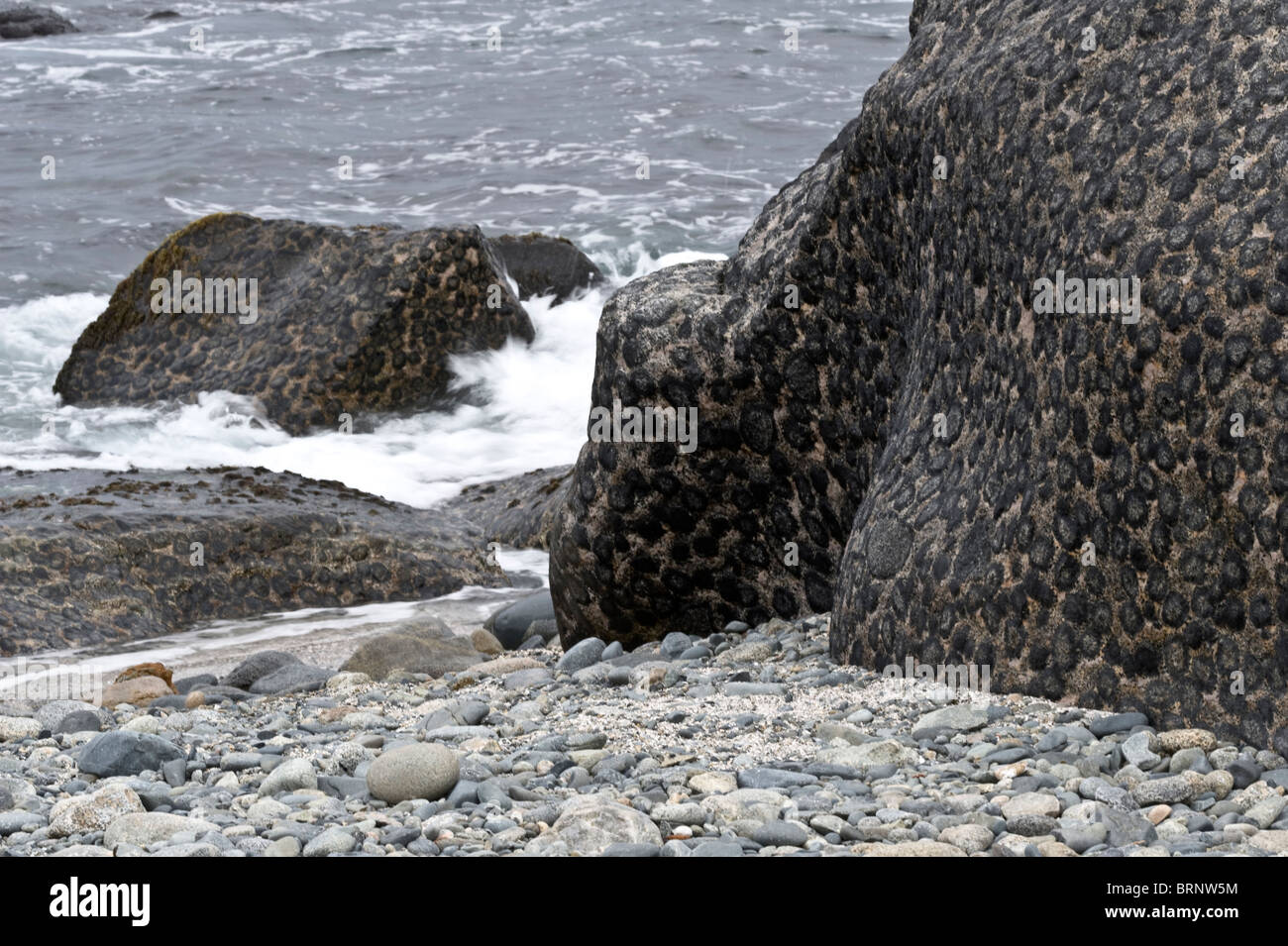 Outcrop of orbicular granite Nature Sanctuary, 15km north of Caldera ...