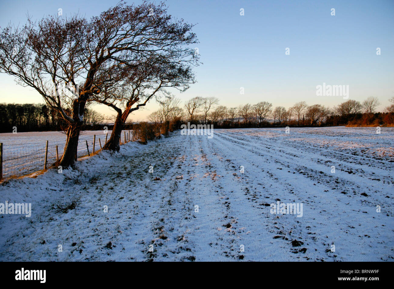 A winter evening in rural West Cumbria Stock Photo - Alamy