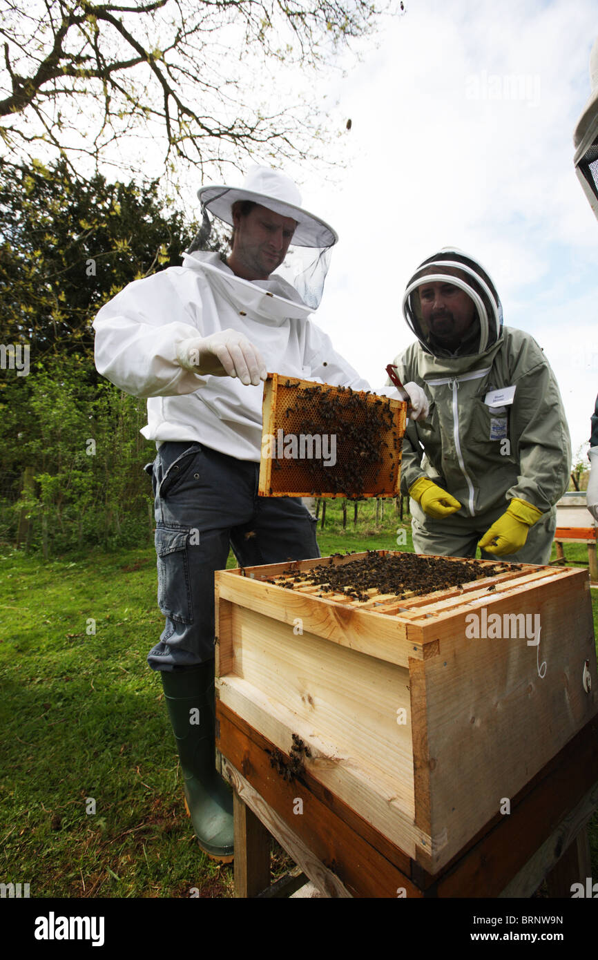 Beekeeping course hi-res stock photography and images - Alamy
