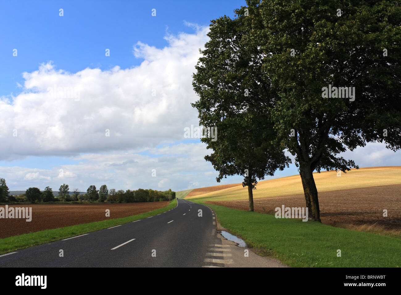 Road leading into beautiful French countryside, near Verdun, Meuse ...