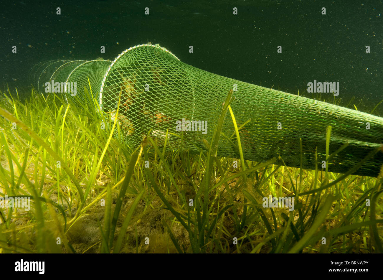 Eel trap hi-res stock photography and images - Alamy