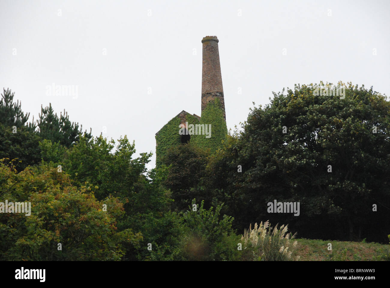 Old cornish tin mines hi-res stock photography and images - Alamy