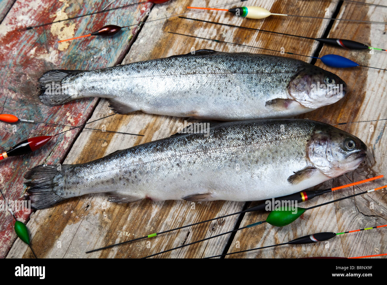 Fish and fishing Stock Photo - Alamy