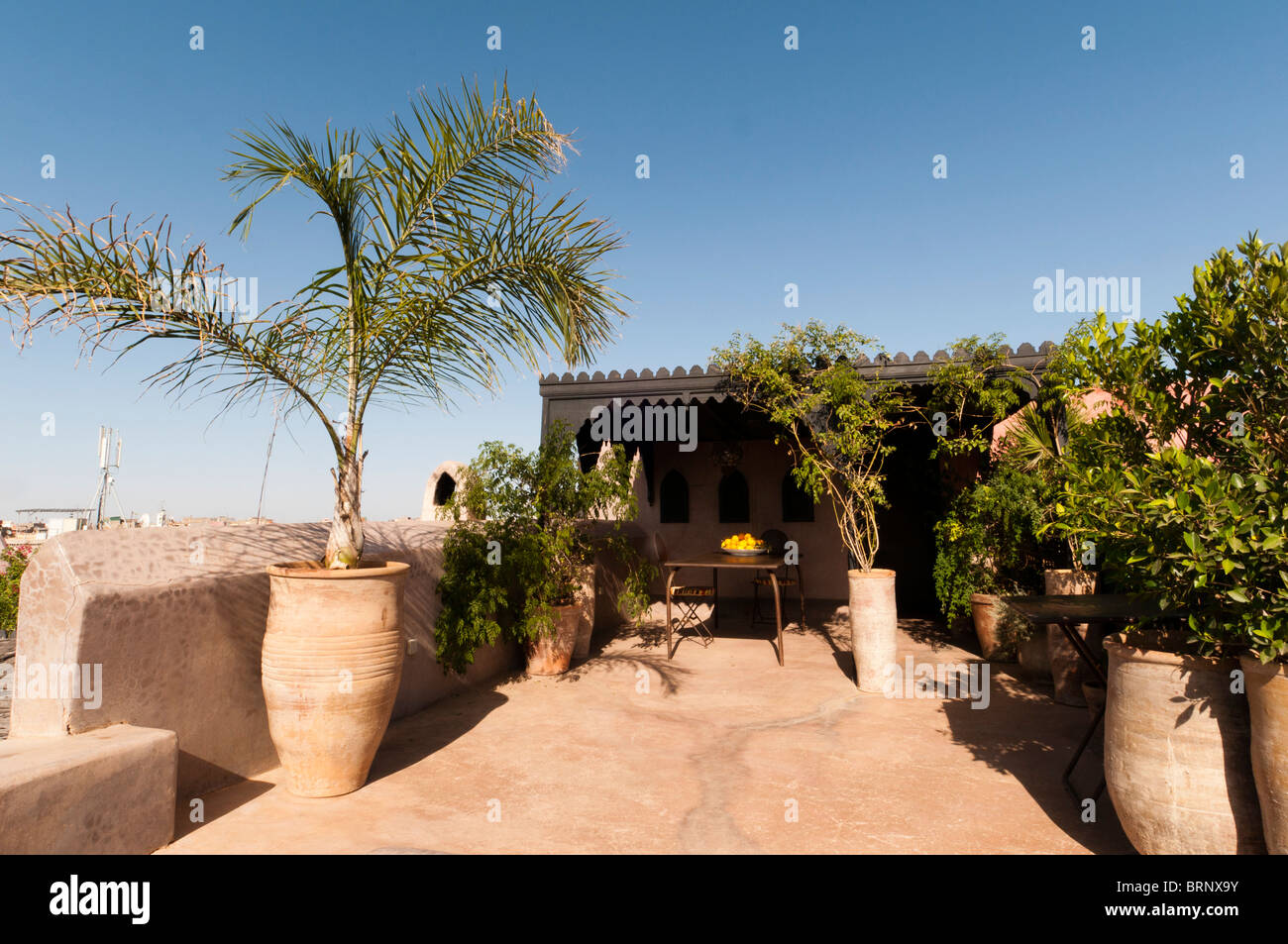 Dar Darma Riad, Marrakech, Morocco Stock Photo - Alamy