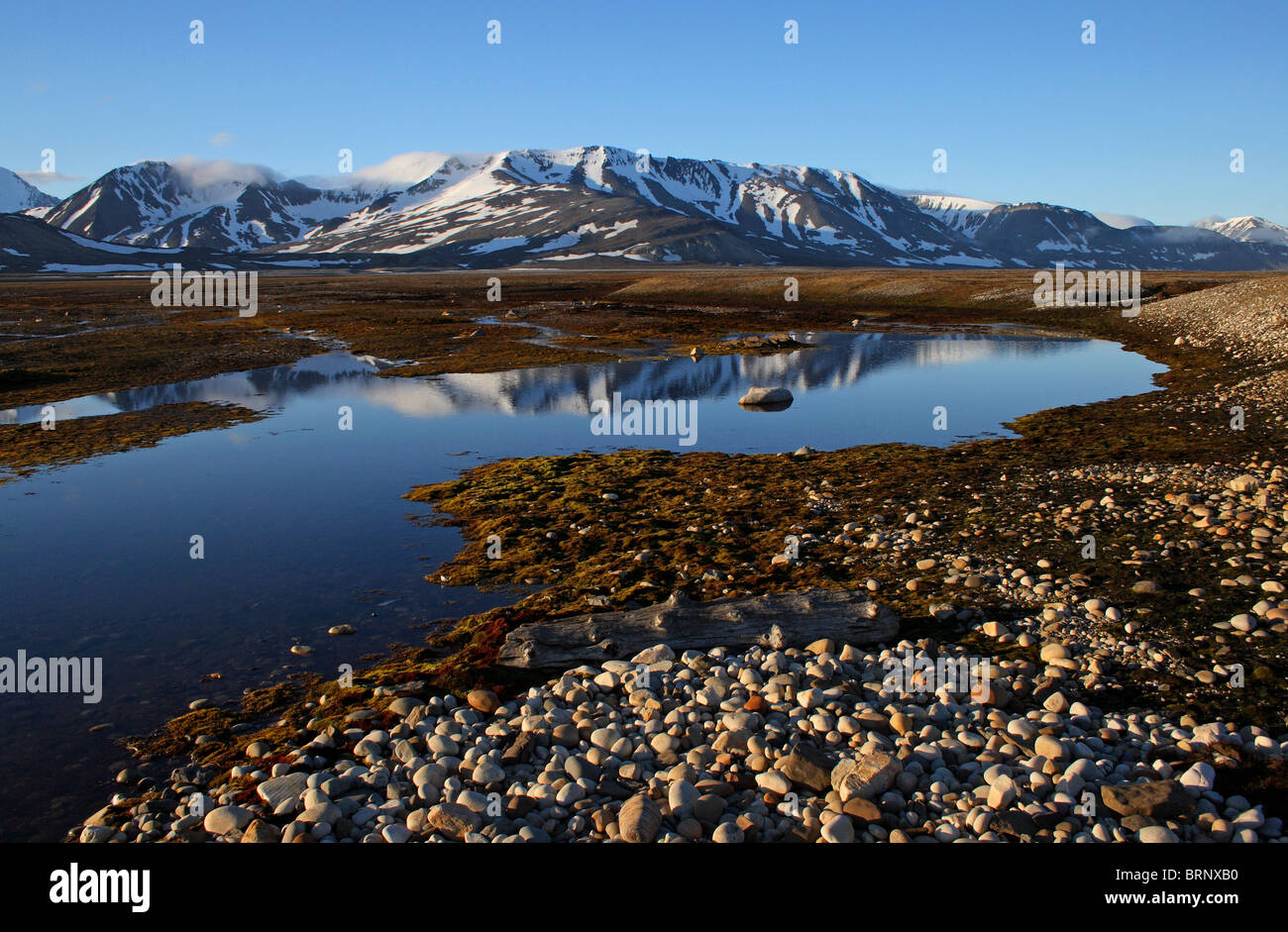 Tundra landscape hi-res stock photography and images - Alamy