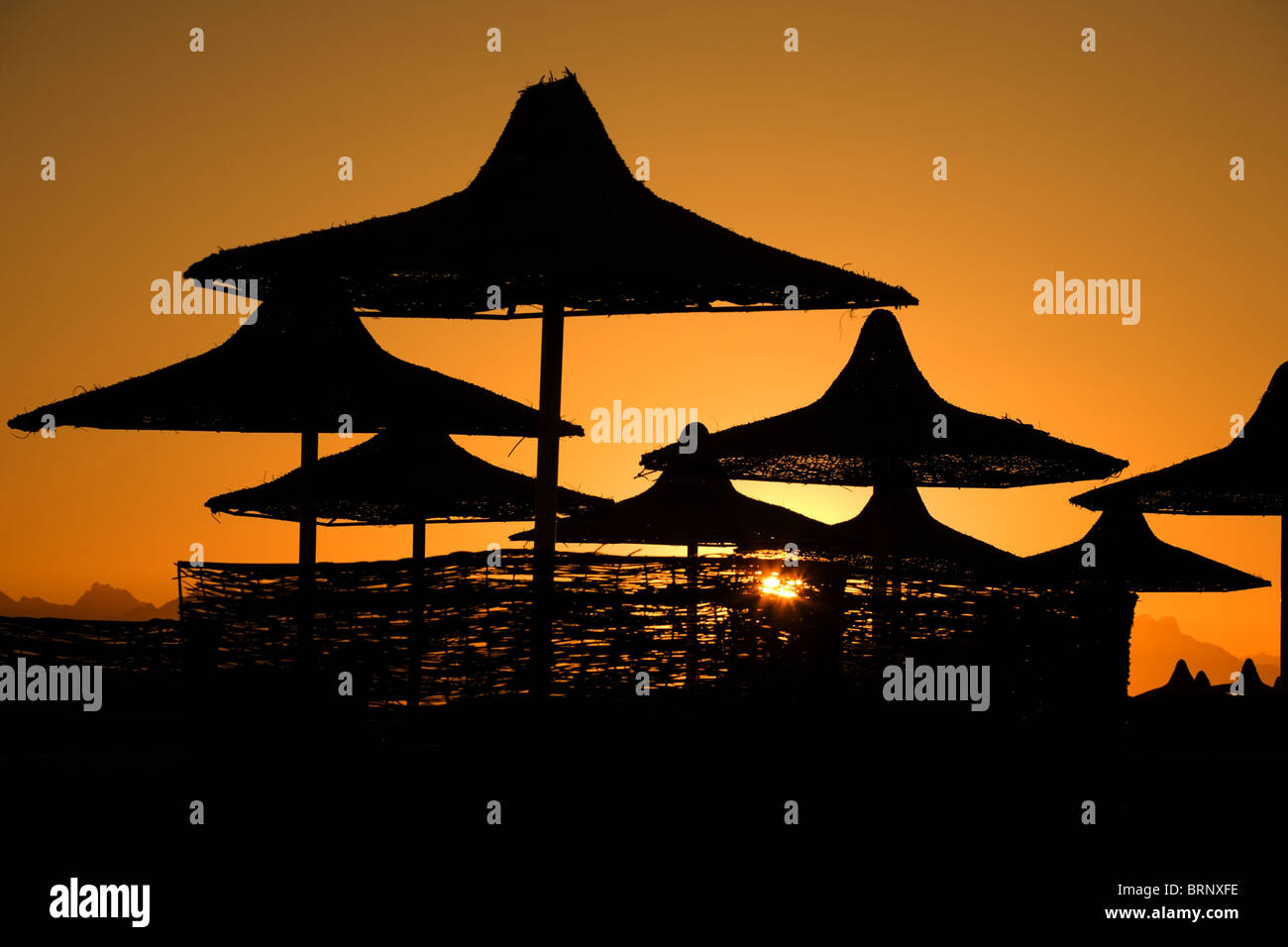 sunset on sea resort with beach umbrellas black silhouettes, Hurghada ...